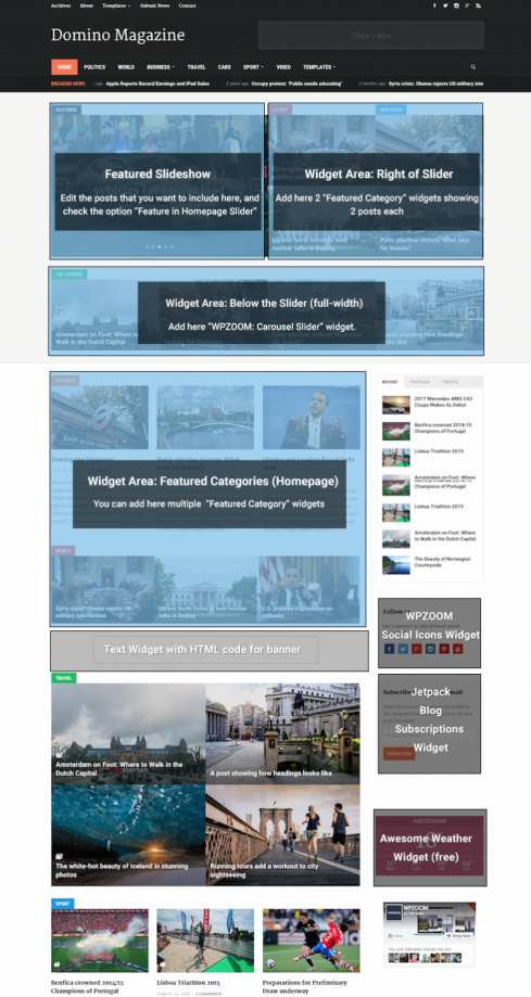 WPZoom Domino Magazine WordPress Theme • SHOP AEDIGI