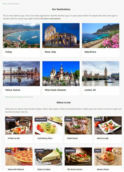 WPZoom Expedition WordPress Theme • SHOP AEDIGI