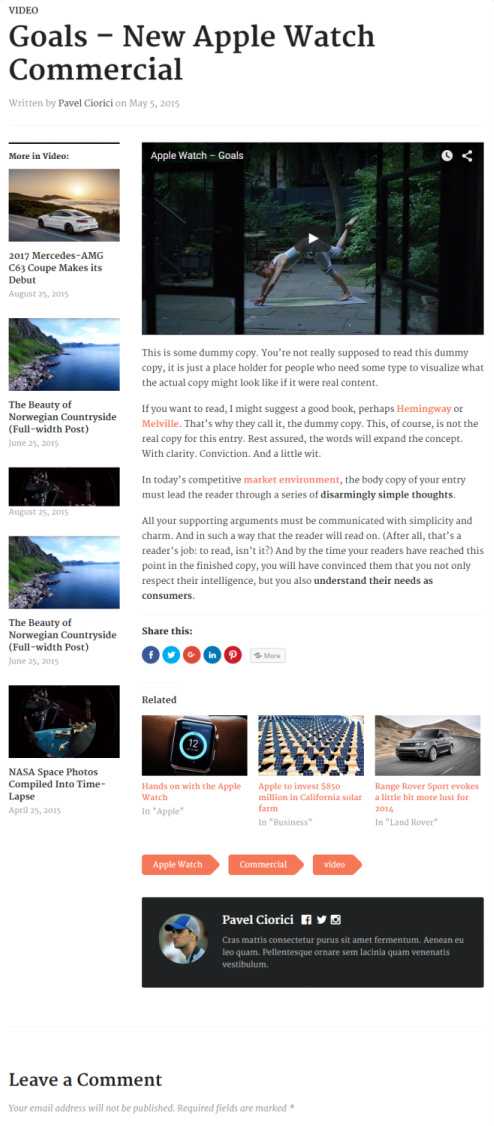 WPZoom Domino Magazine WordPress Theme • SHOP AEDIGI