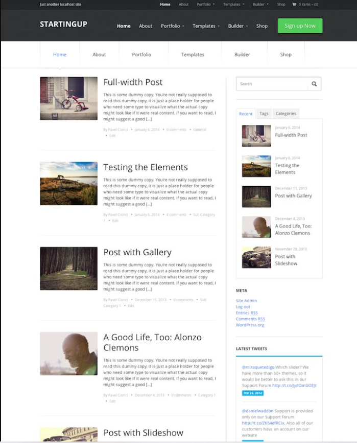 WPZoom StartingUp WordPress Theme • SHOP AEDIGI