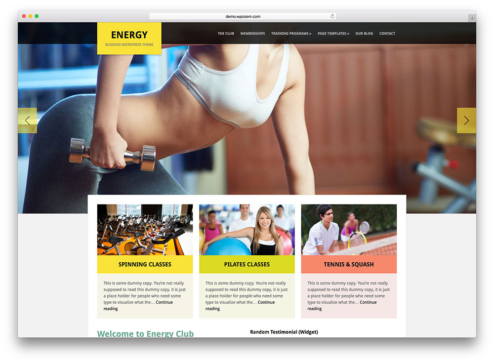 WPZoom Energy WordPress Theme • SHOP AEDIGI